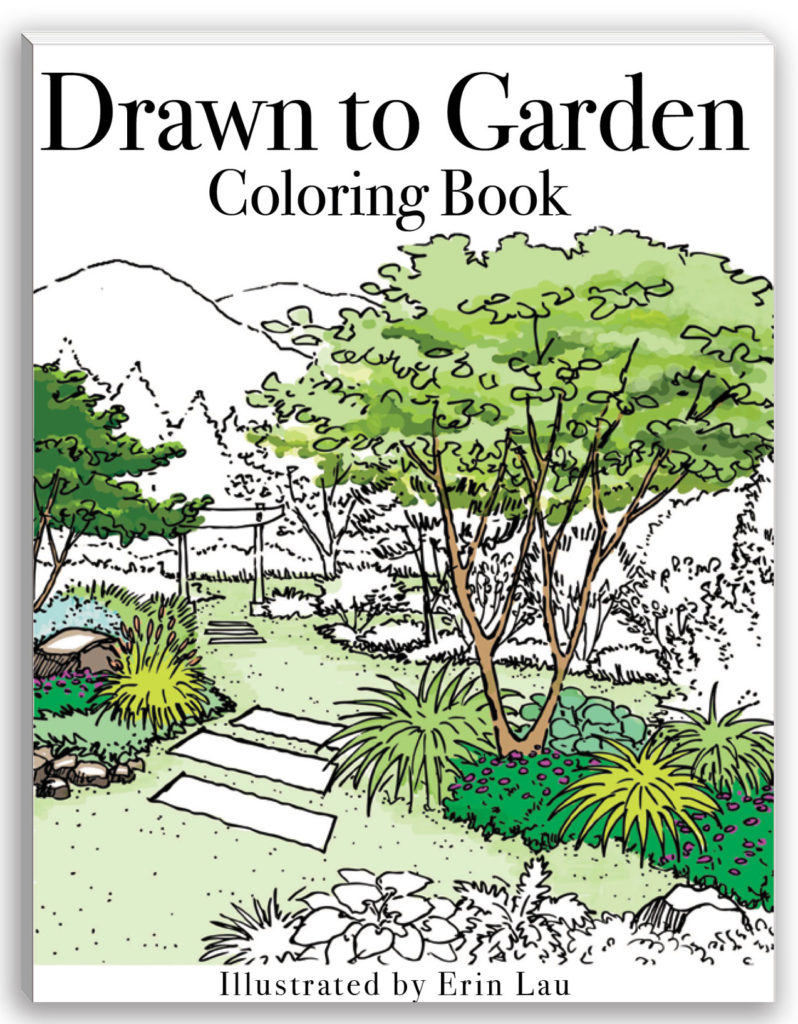 Coloring Book! | DrawnToGarden