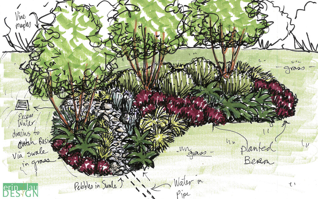 Garden Drawing Details | DrawnToGarden