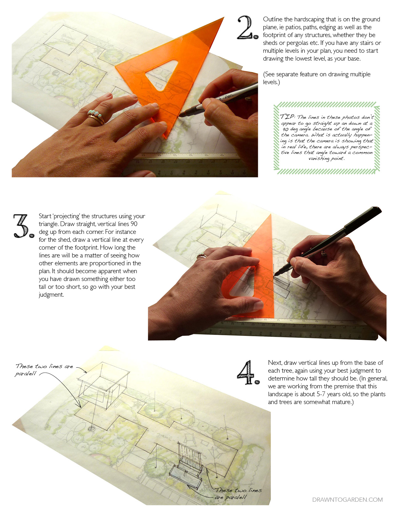 Axonometric Garden Drawing | DrawnToGarden