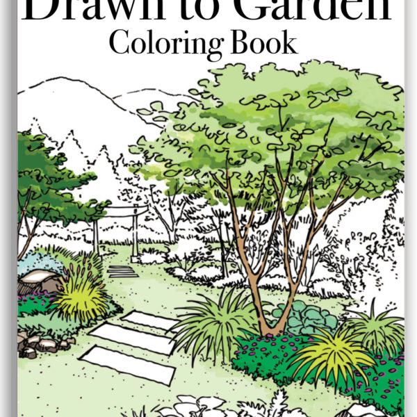 landscape drawing | DrawnToGarden
